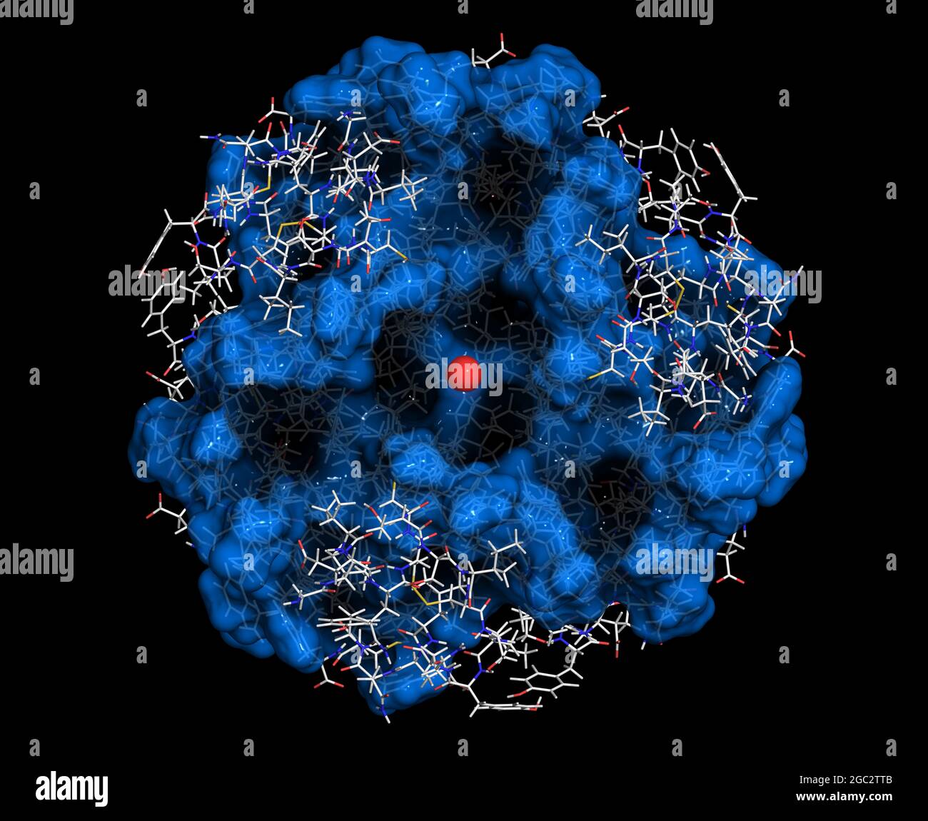 Insulin peptide hormone, 3D rendering. Important drug in treatme Stock ...