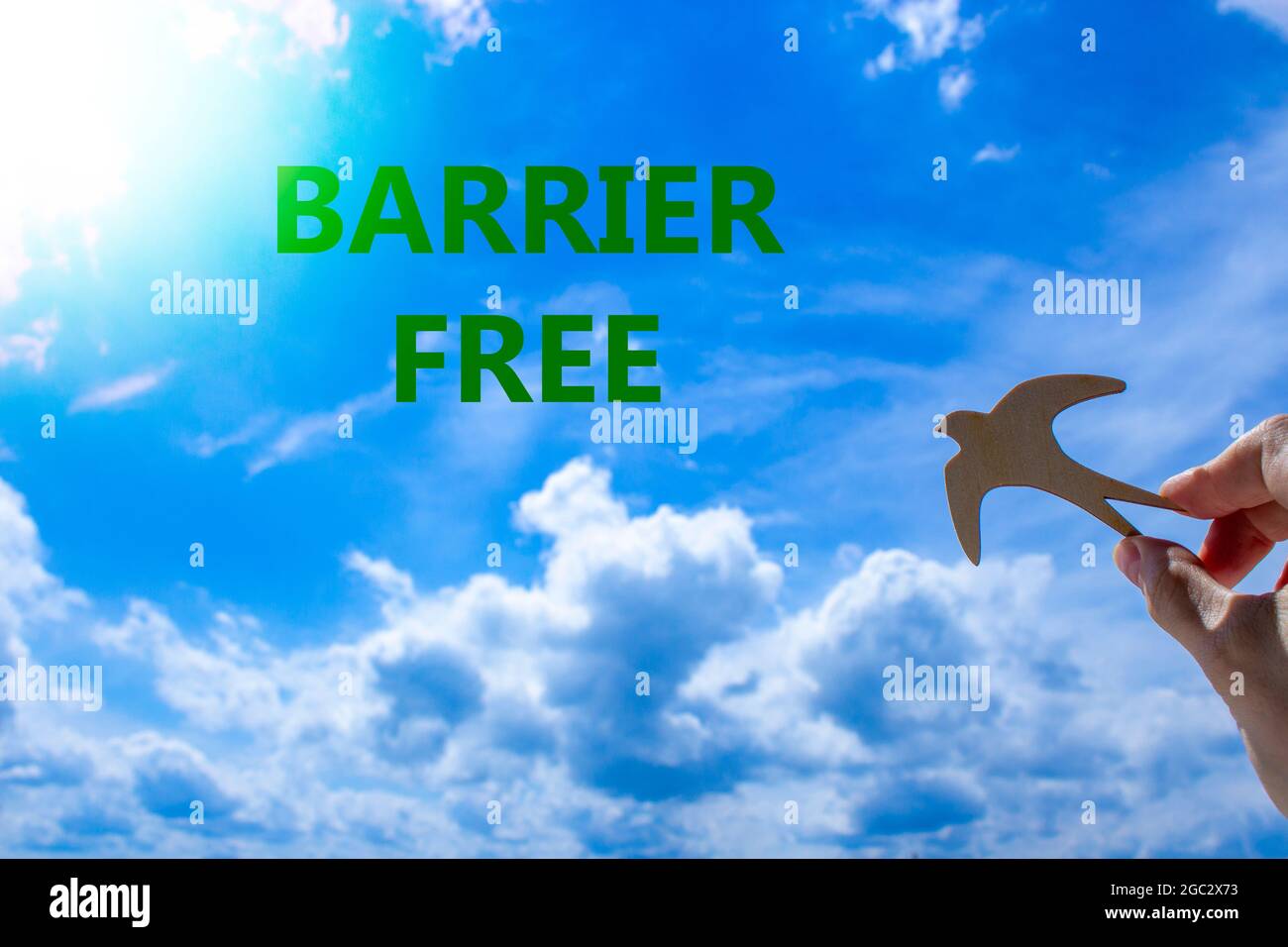 Barrier free symbol. Businessman hand holding wooden bird on cloud blue ...