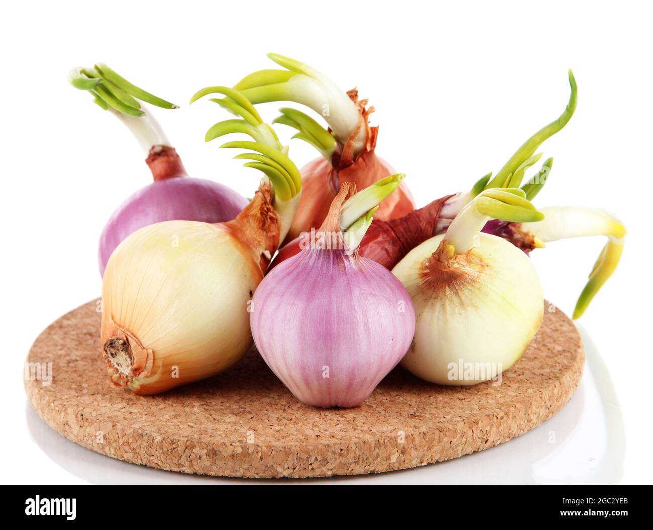 Sprouting onions on board isolated on white Stock Photo - Alamy