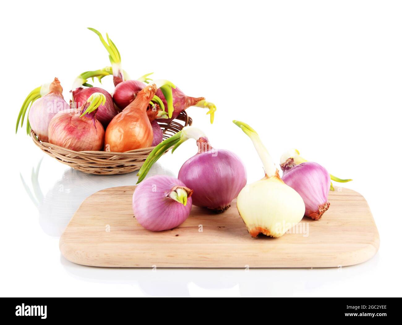 Sprouting onions on board isolated on white Stock Photo - Alamy