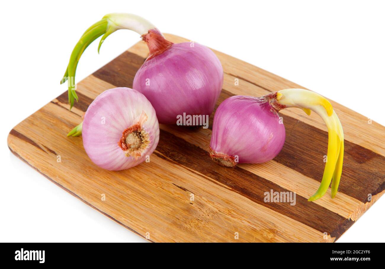 Sprouting onions on board isolated on white Stock Photo - Alamy