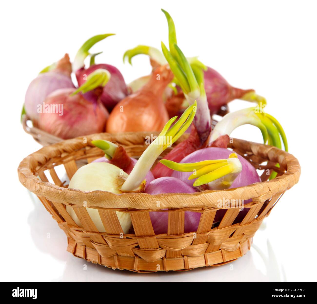 Sprouting onions in basket isolated on white Stock Photo - Alamy