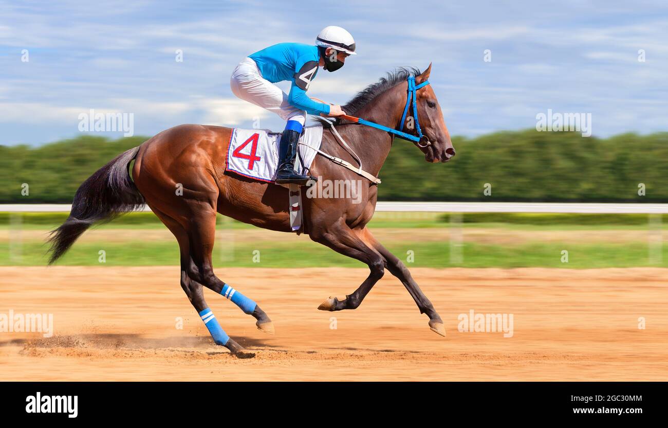 Horse racing jockey. Sport. Champion. Racetrack. Equestrian. Speed ...