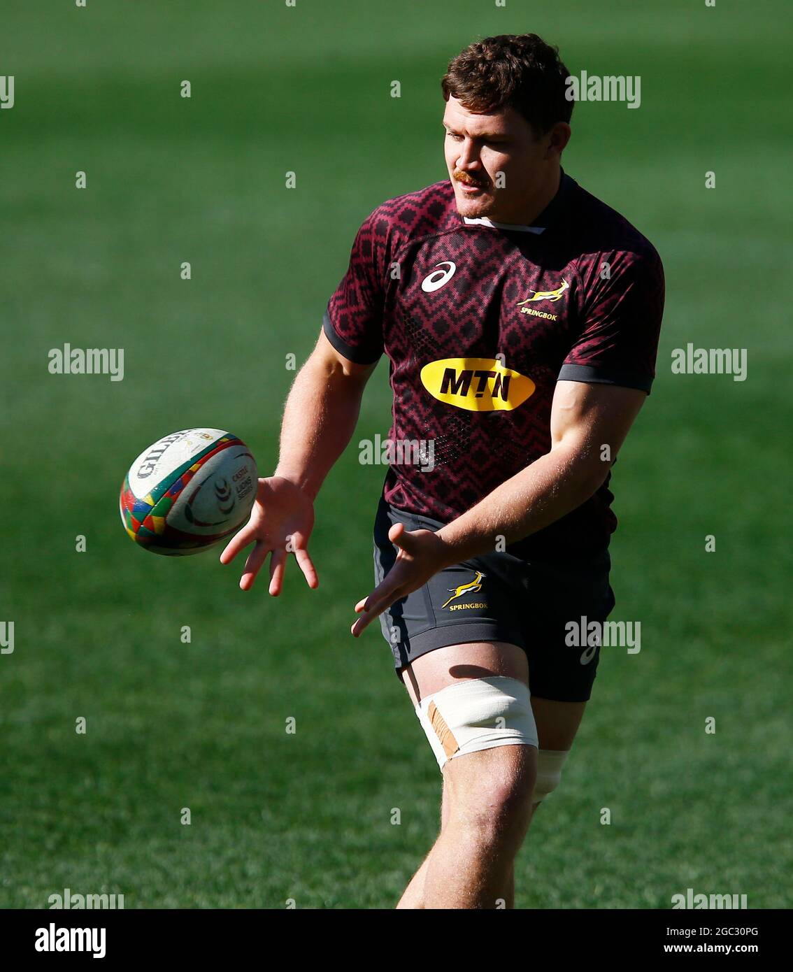 Jasper wiese springboks hi-res stock photography and images - Alamy