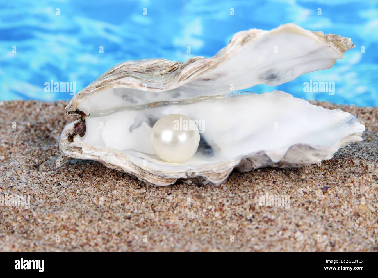 Open oyster with pearl on sand on water background Stock Photo - Alamy