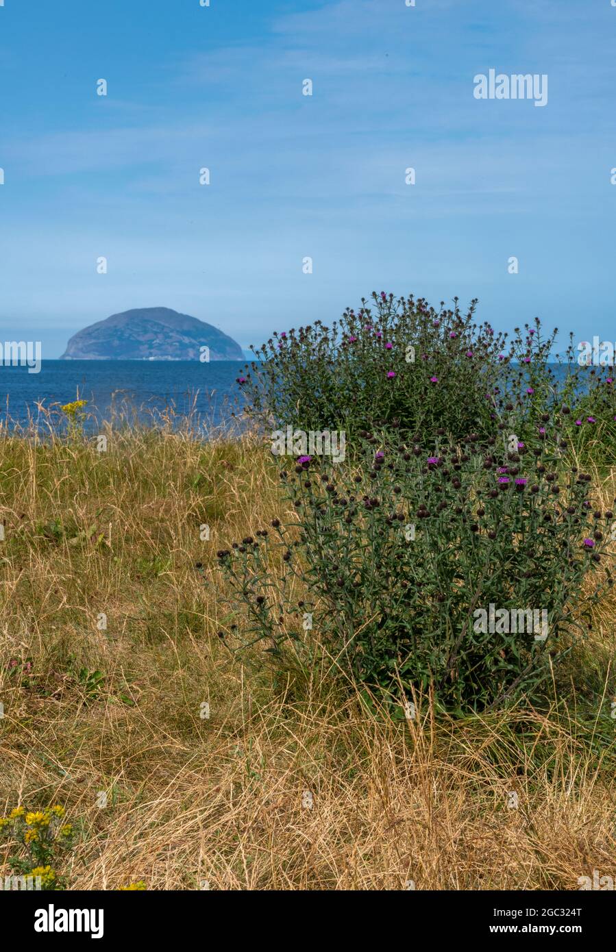ailsa craig, scottish island, scottish coast, girvan beach, ayrshire ...