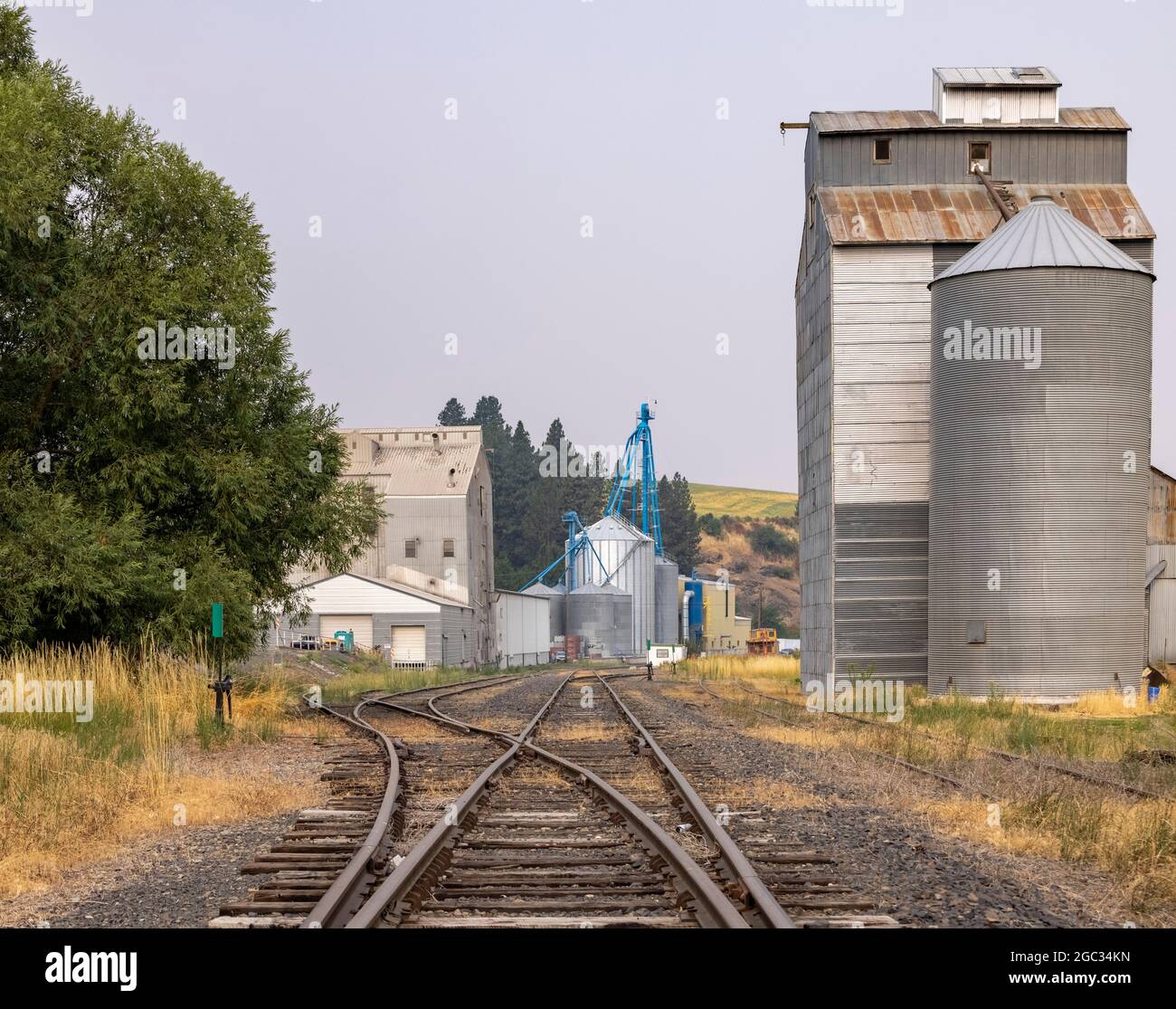 railroad tracks leading to granaries, Palouse, Washington State, USA ...