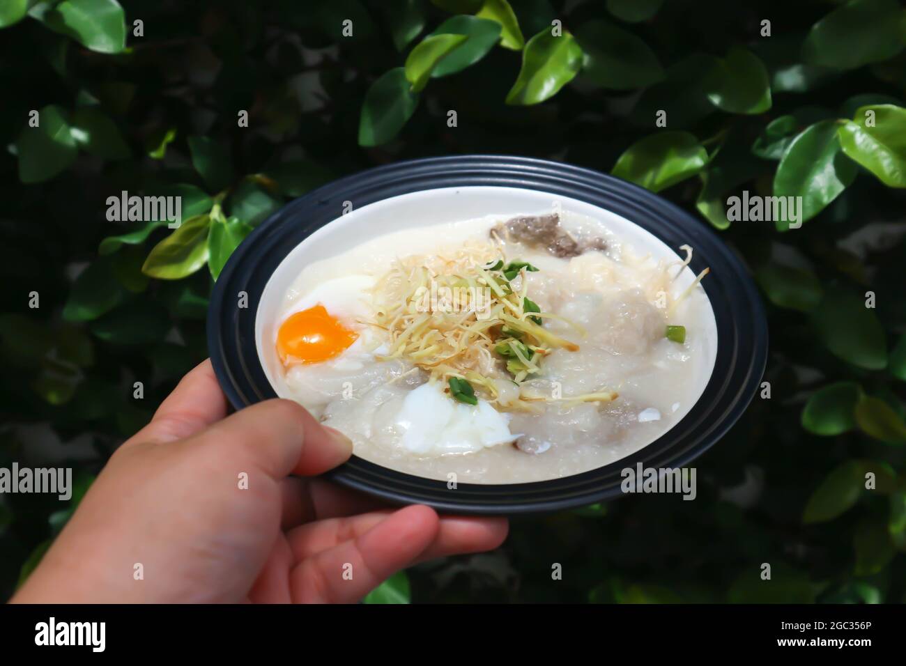 rice gruel or rice porridge or congee with pork liver, pork ball and ...