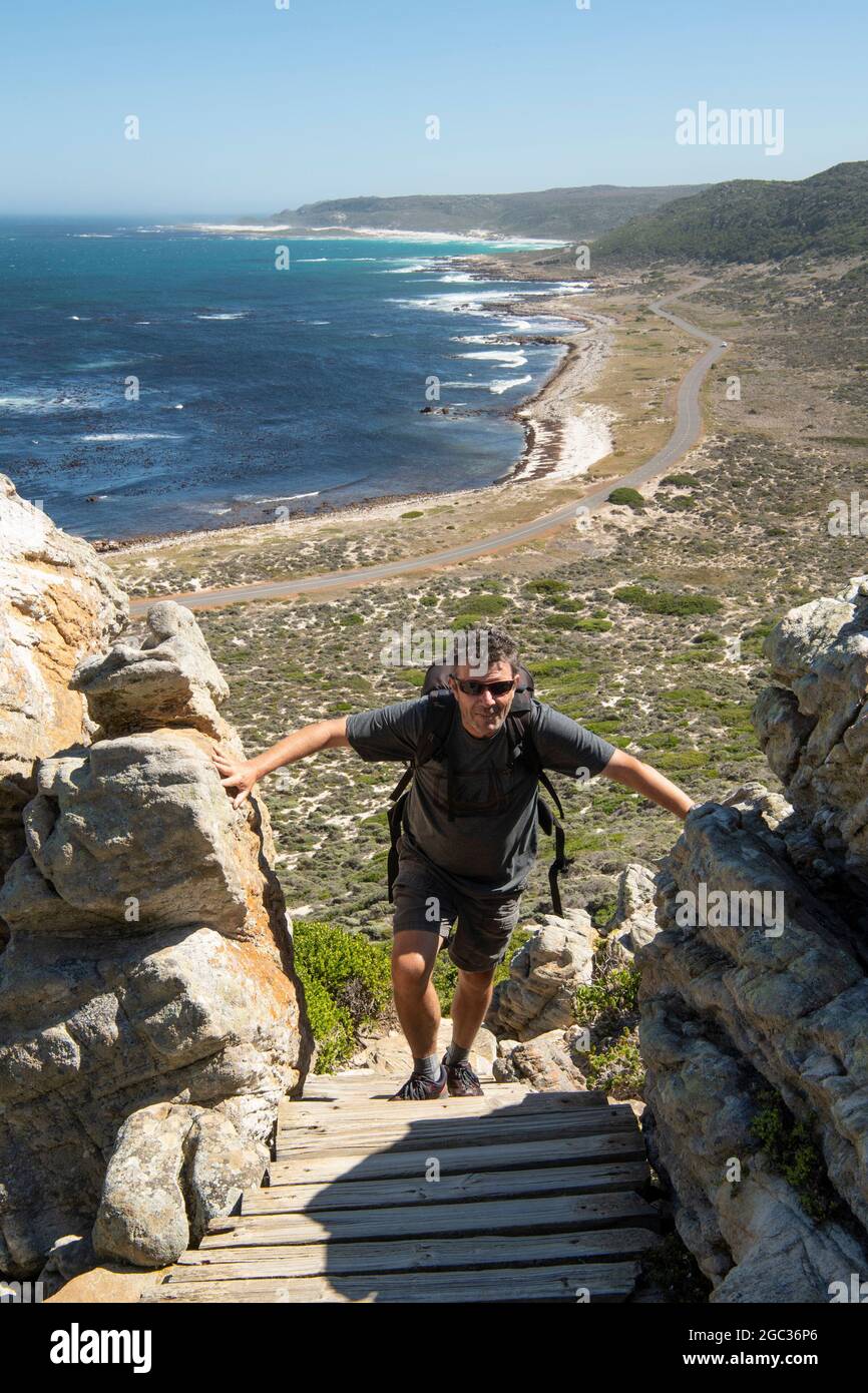 Hiker, Cape of Good Hope Nature Reserve, Cape Peninsula, South Africa ...