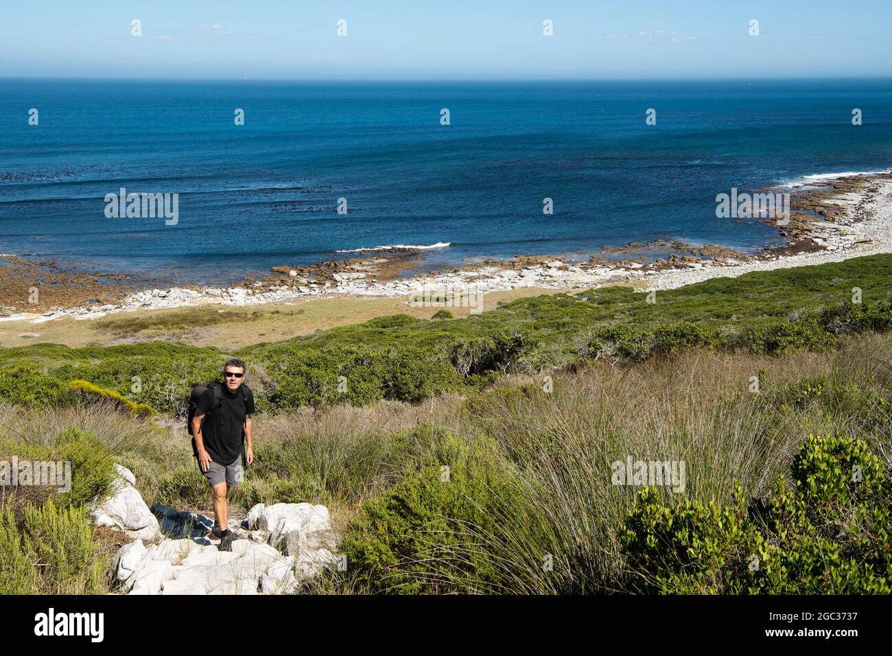 Hiker, Cape of Good Hope Nature Reserve, Cape Peninsula, South Africa ...