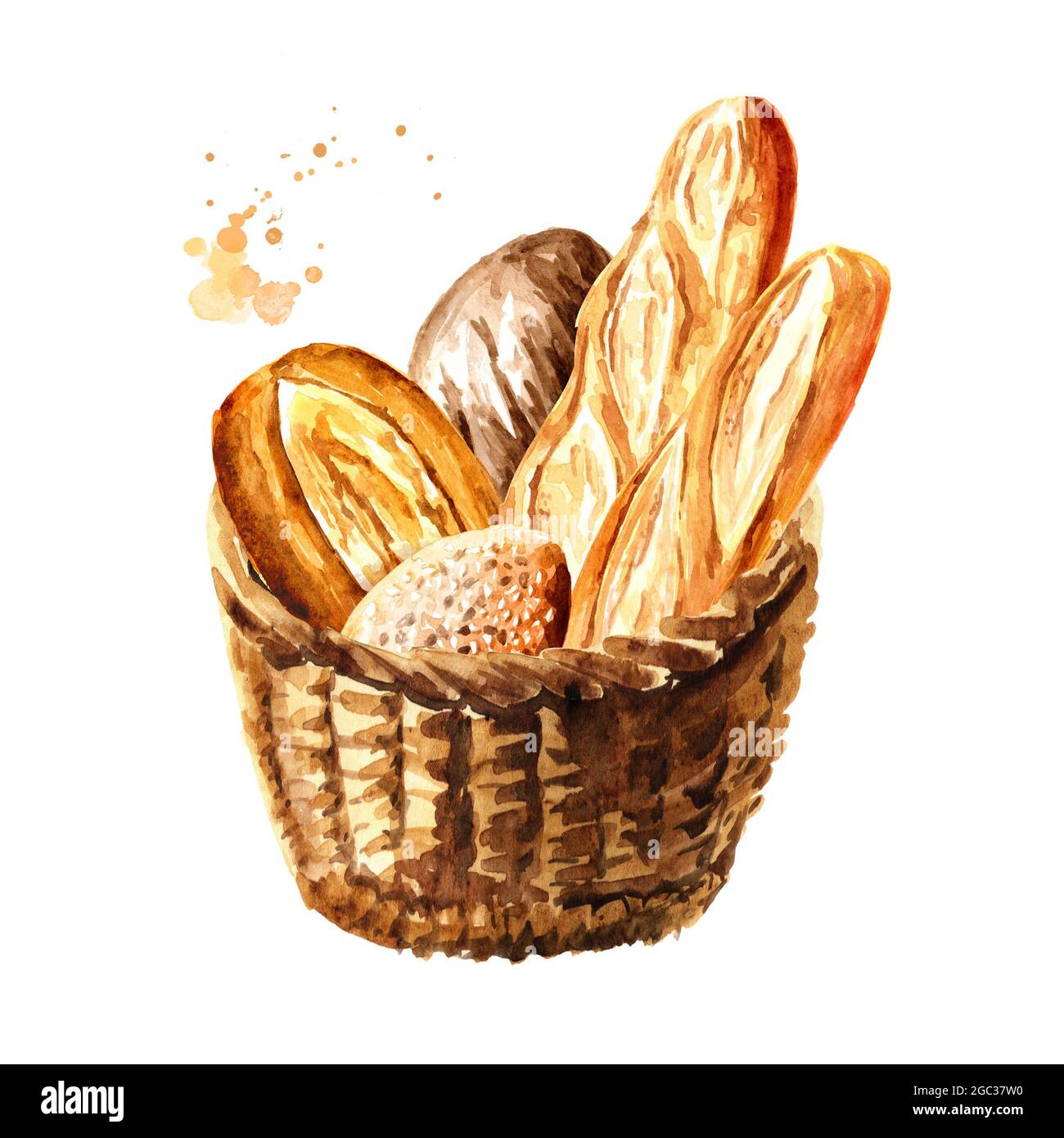 Fresh bread in the basket. Hand drawn watercolor, illustration isolated ...