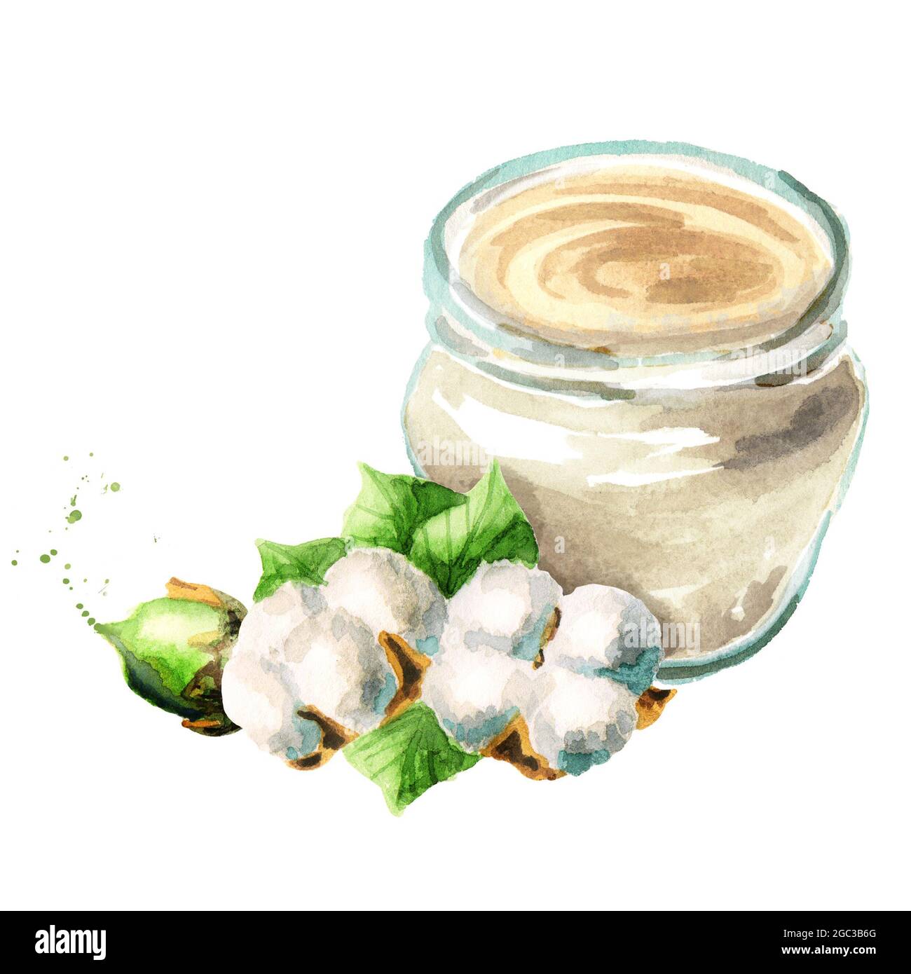 Cream with cotton extracts. Jar and a plant. Watercolor hand-drawn ...