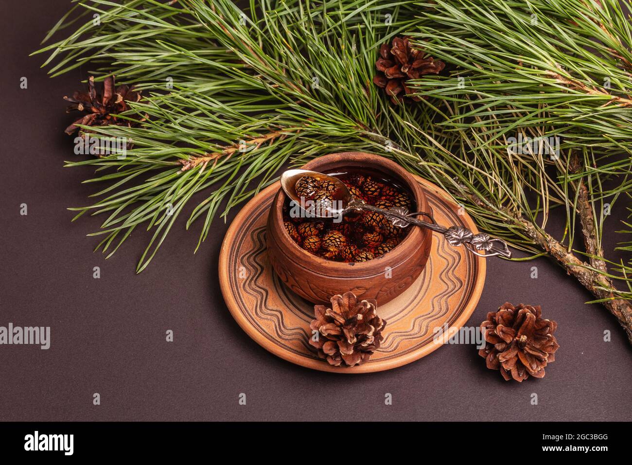Sweet pine cone jam. Traditional Siberian dessert, fresh evergreen ...