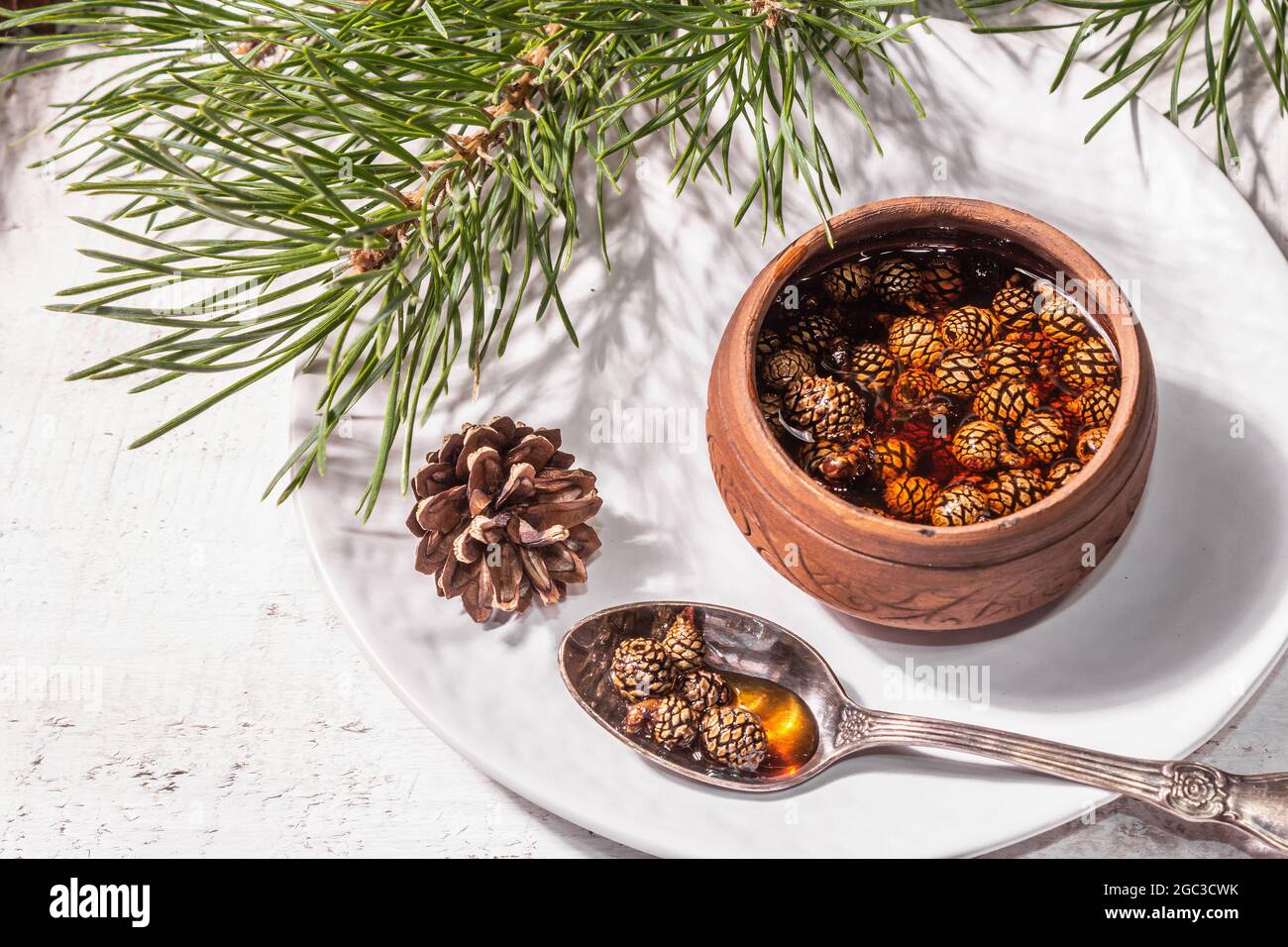Sweet pine cone jam. Traditional Siberian dessert, fresh evergreen ...