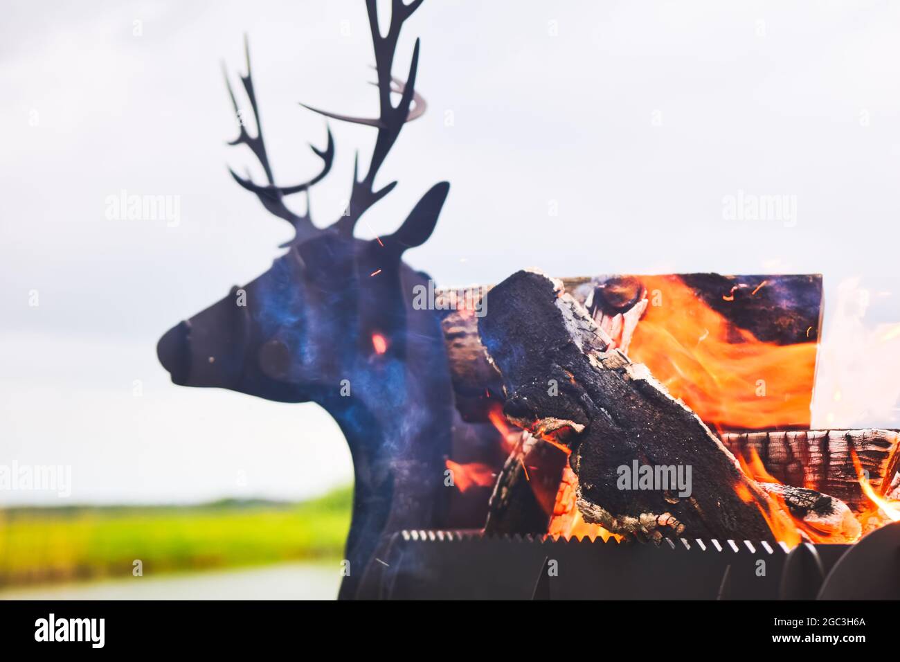 Close up view burning wood on unique animal design grill with sky ...