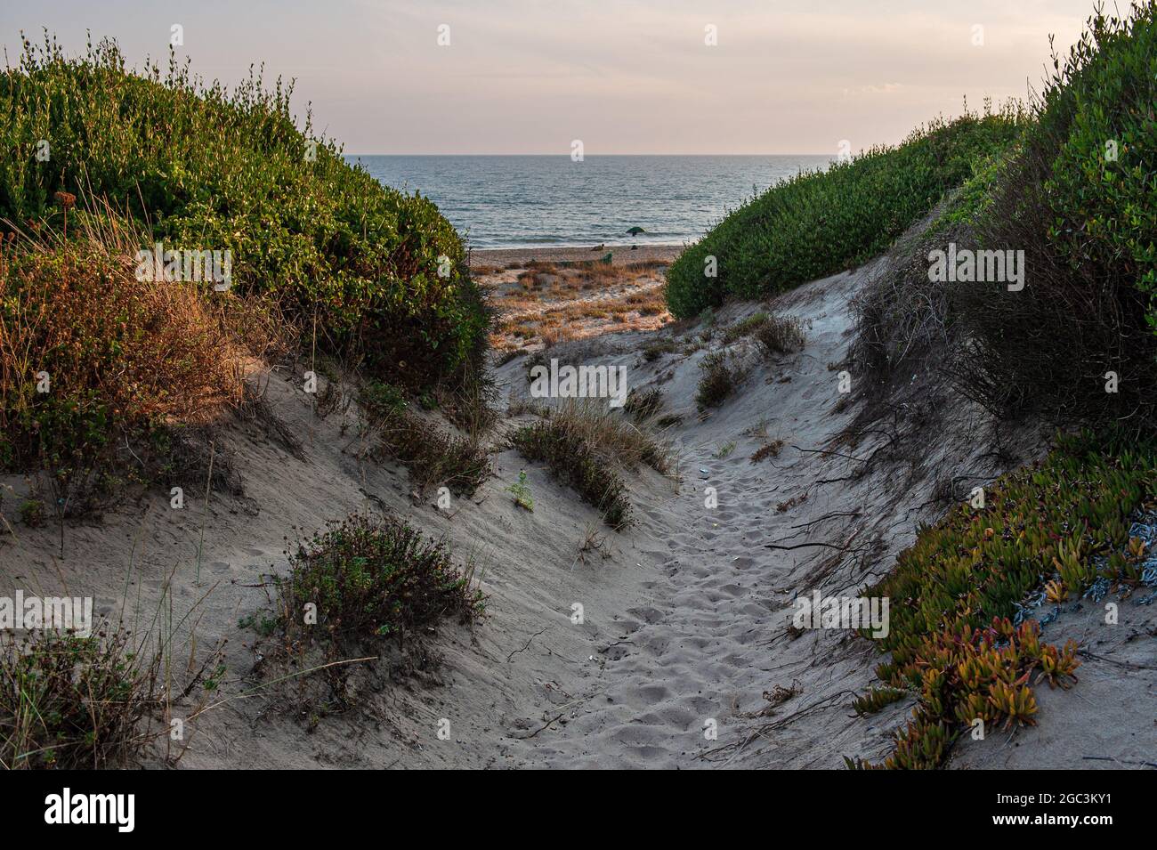 Capocotta hi-res stock photography and images - Alamy