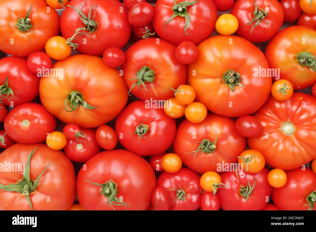 Umami tomatoes hi-res stock photography and images - Alamy