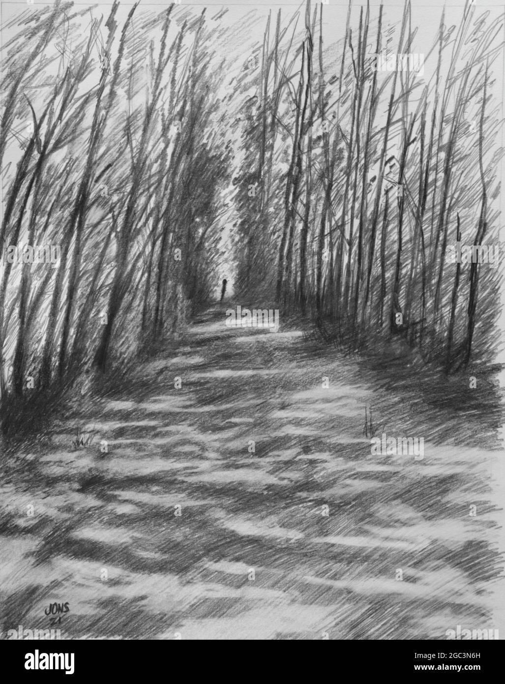 Silver Comet Trail Stock Photo - Alamy