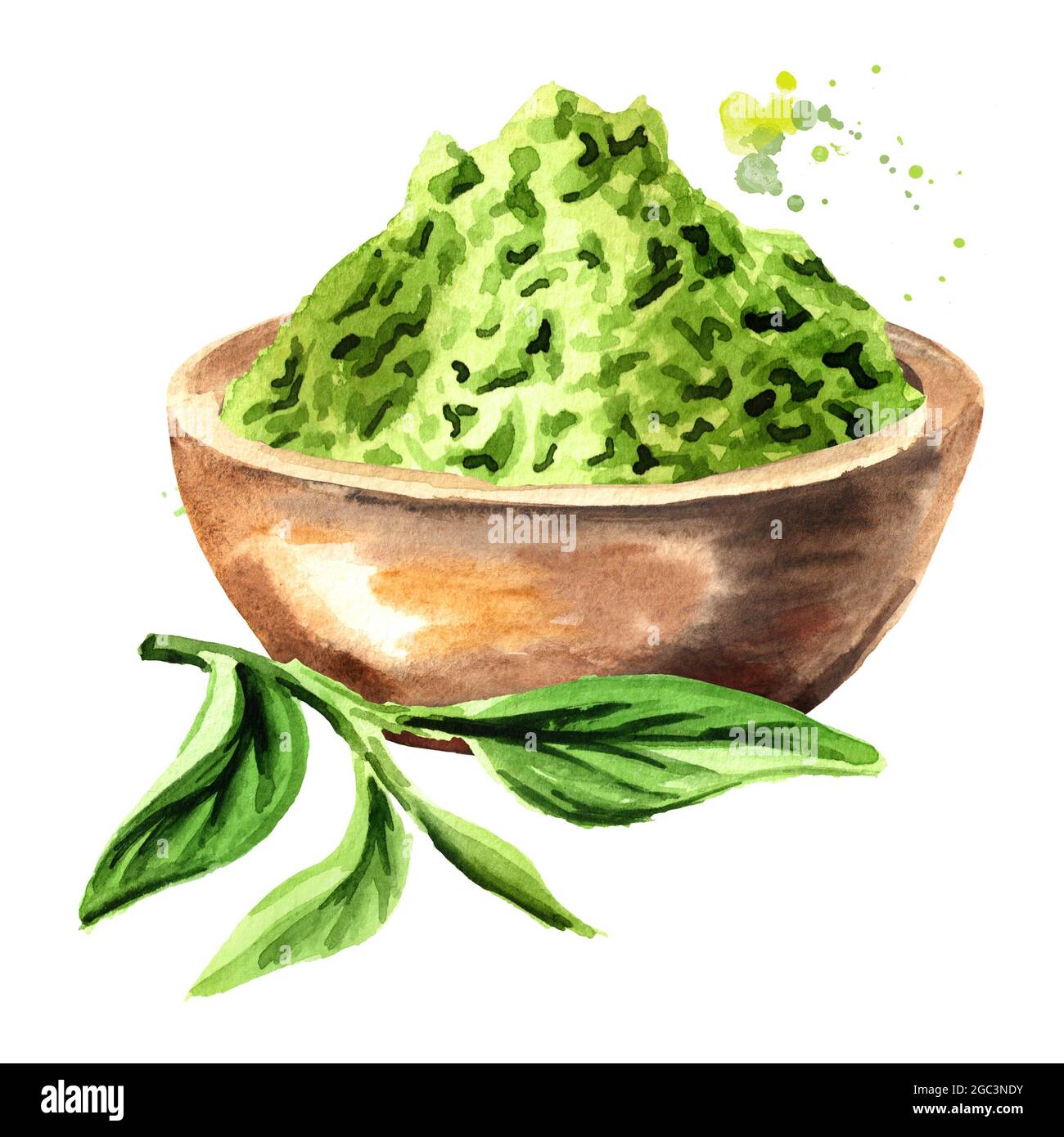 Matcha tea powder in wooden bowl, with green tea leaves. Watercolor ...
