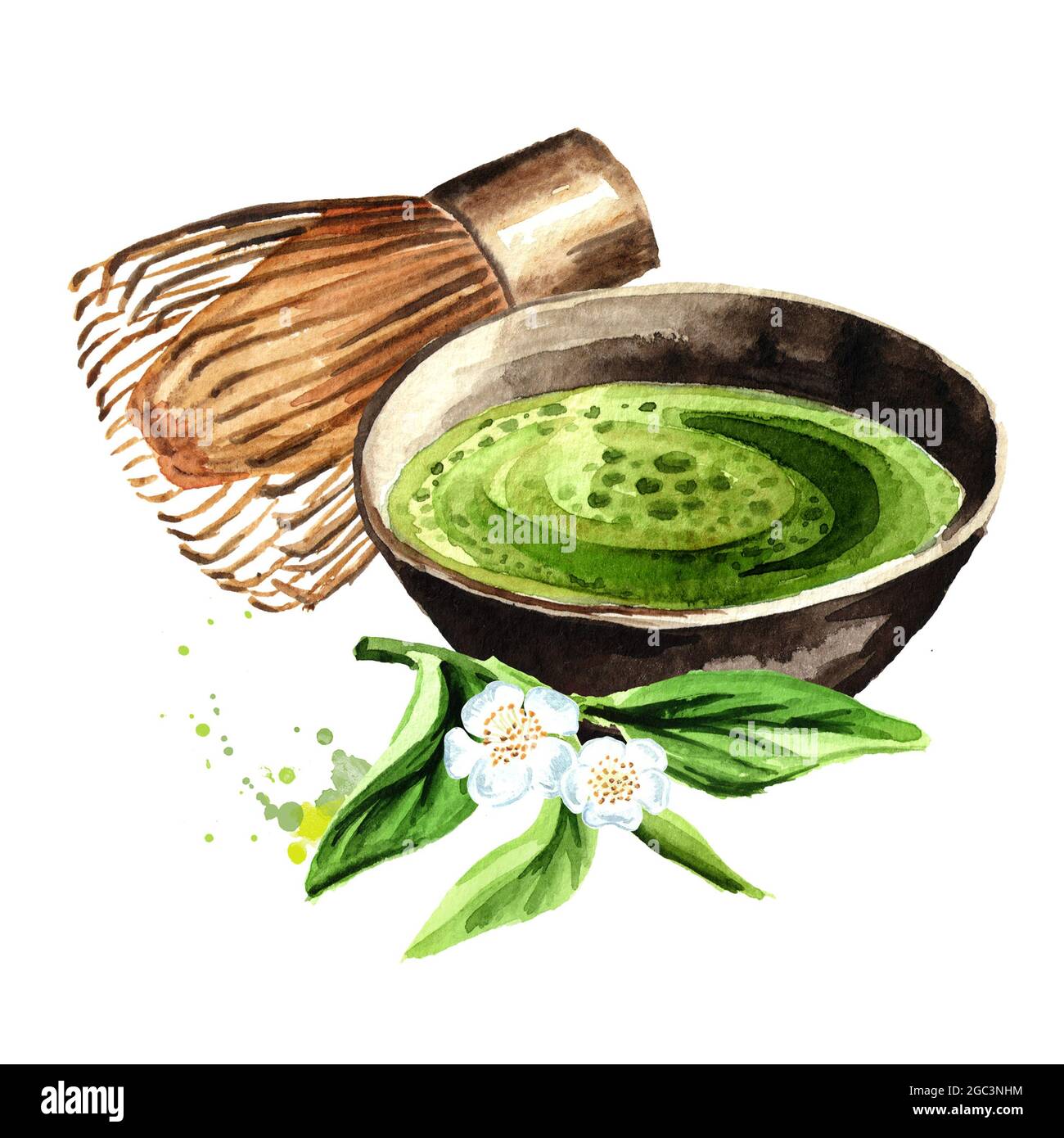 Organic Green Matcha Tea ceremony. Watercolor hand drawn illustration ...