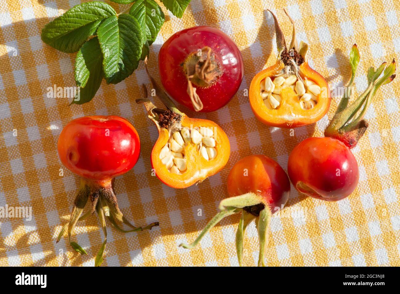 Rose hip seeds hi-res stock photography and images - Alamy