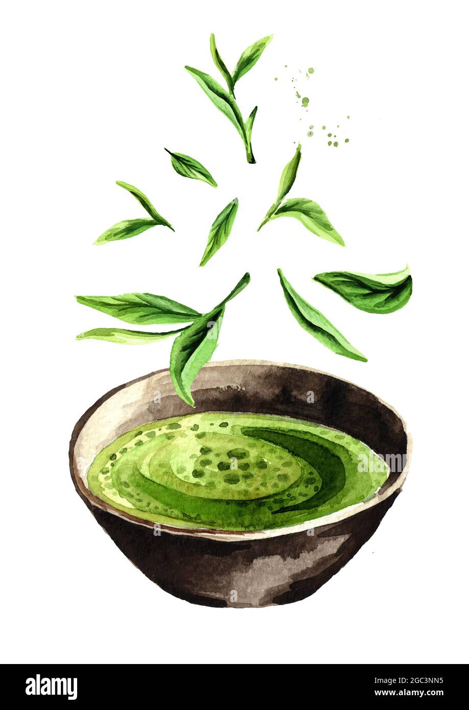 Organic green Matcha tea with falling green tea leaves. Watercolor hand ...