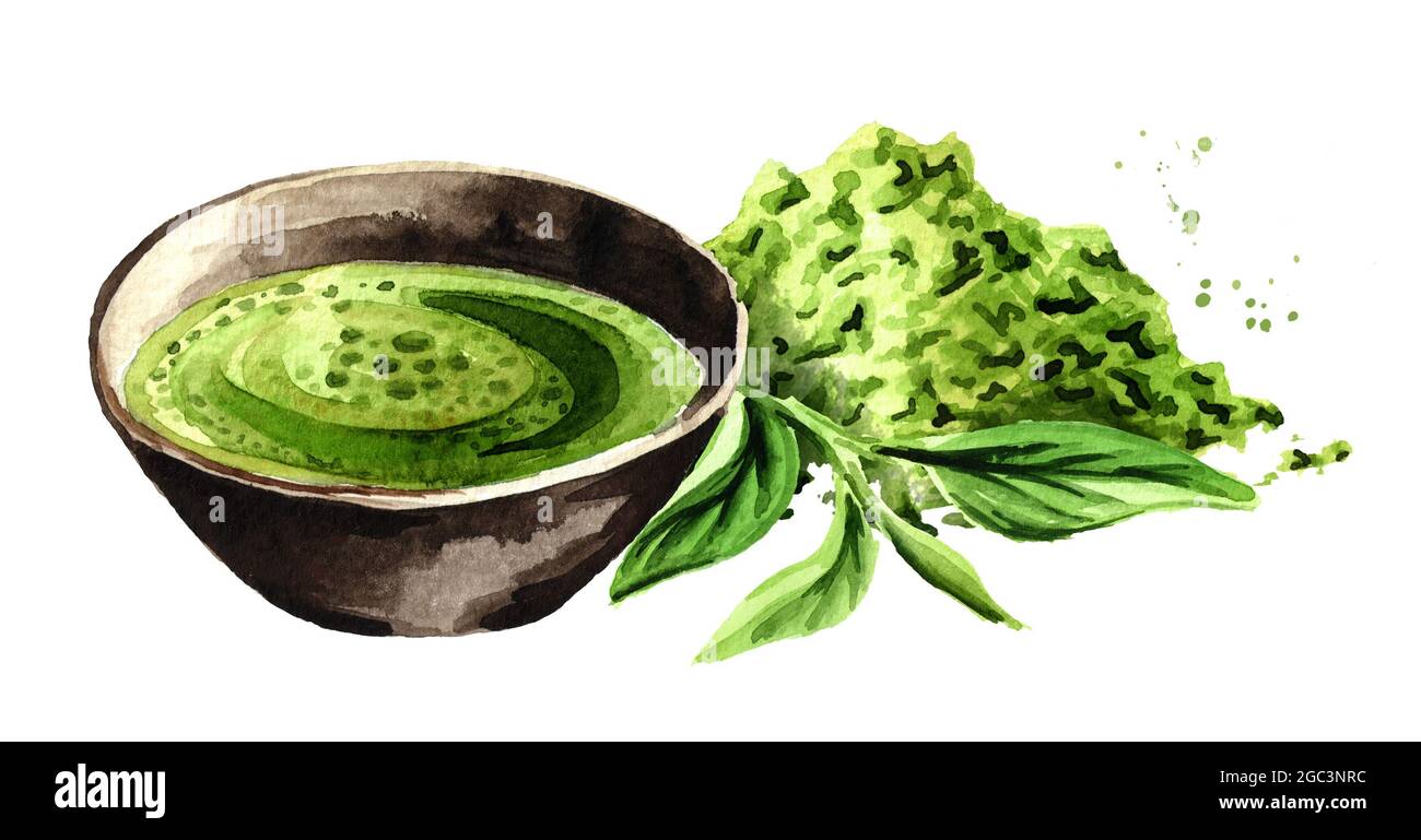 Organic green Matcha tea with green tea leaves and matcha powder ...