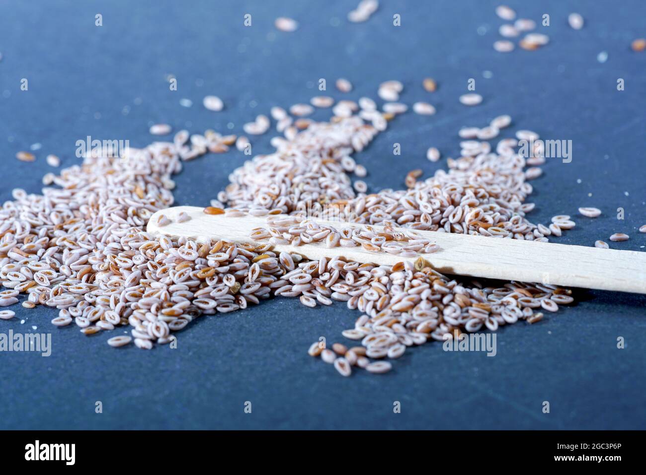 Indian flea seeds photographed in the studio against a black background ...