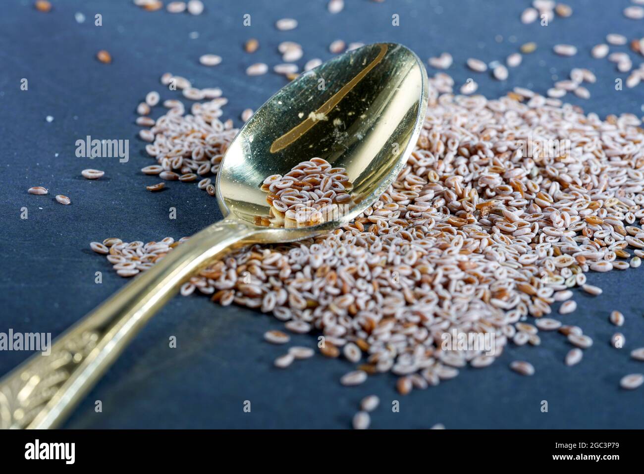 Indian flea seeds photographed in the studio against a black background ...