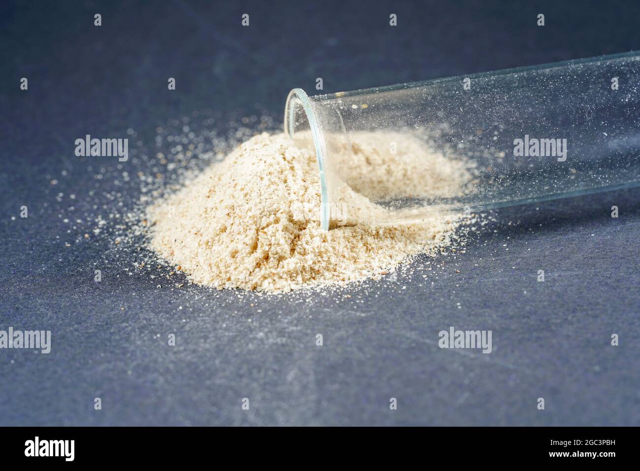 Indian flea seeds photographed in the studio against a black background ...