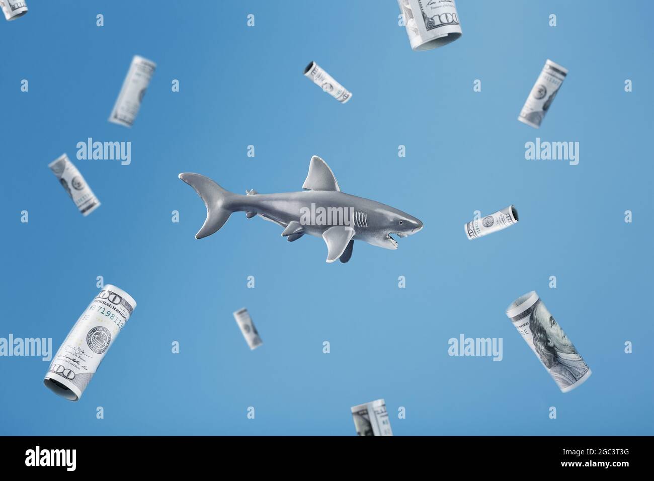 Shark surrounded by dollar bills on a blue background. Conceptual ...