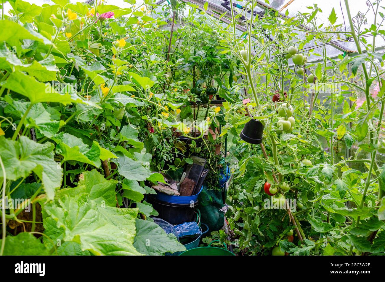 Overflowing plants hi-res stock photography and images - Alamy