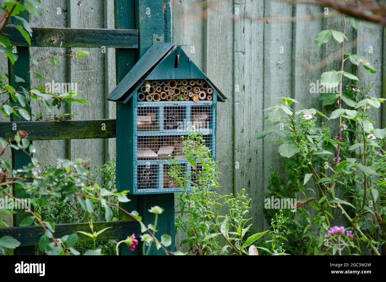 A bee or insect hotel attached to a post in a garden to provide insects ...
