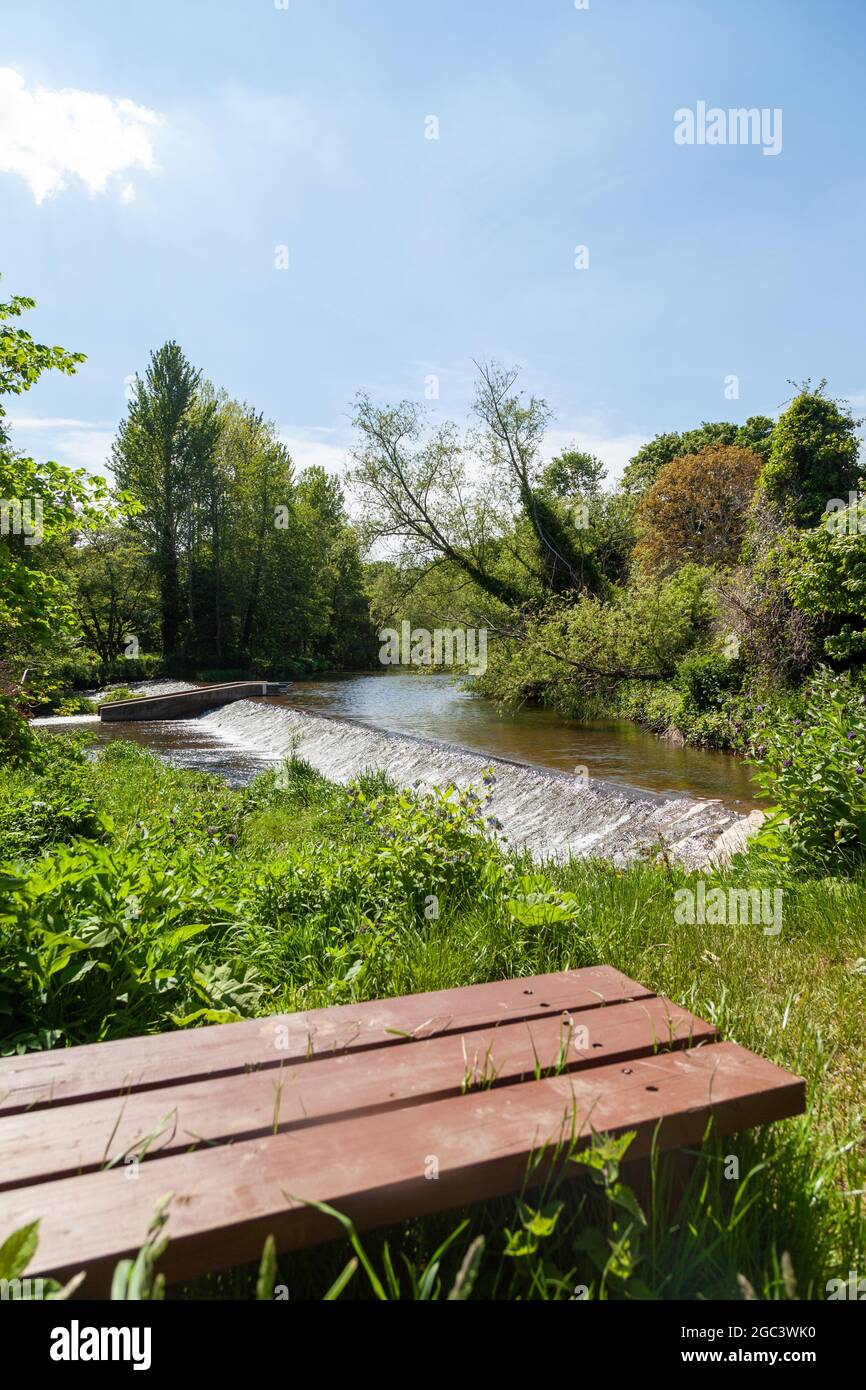 The John Muir Way by the river Tyne near Preston Mill, East Lothian ...
