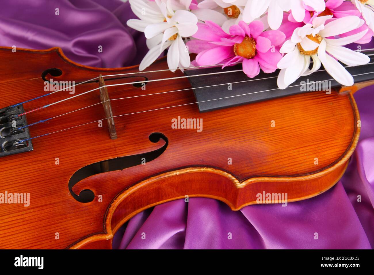 Classical violin on fabric background Stock Photo - Alamy