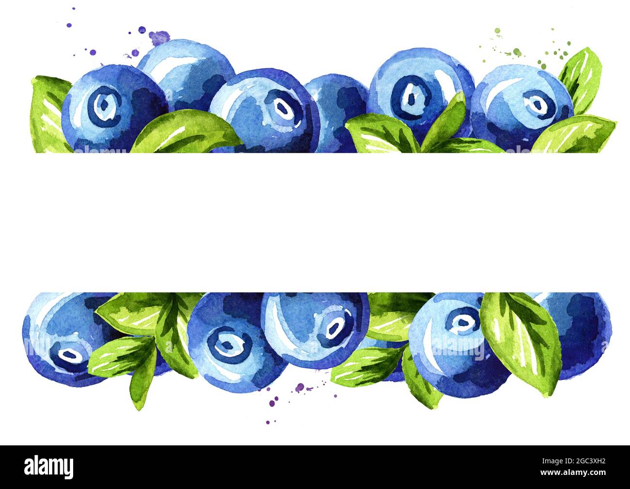 Fresh blueberry horizontal template. Watercolor hand drawn illustration ...