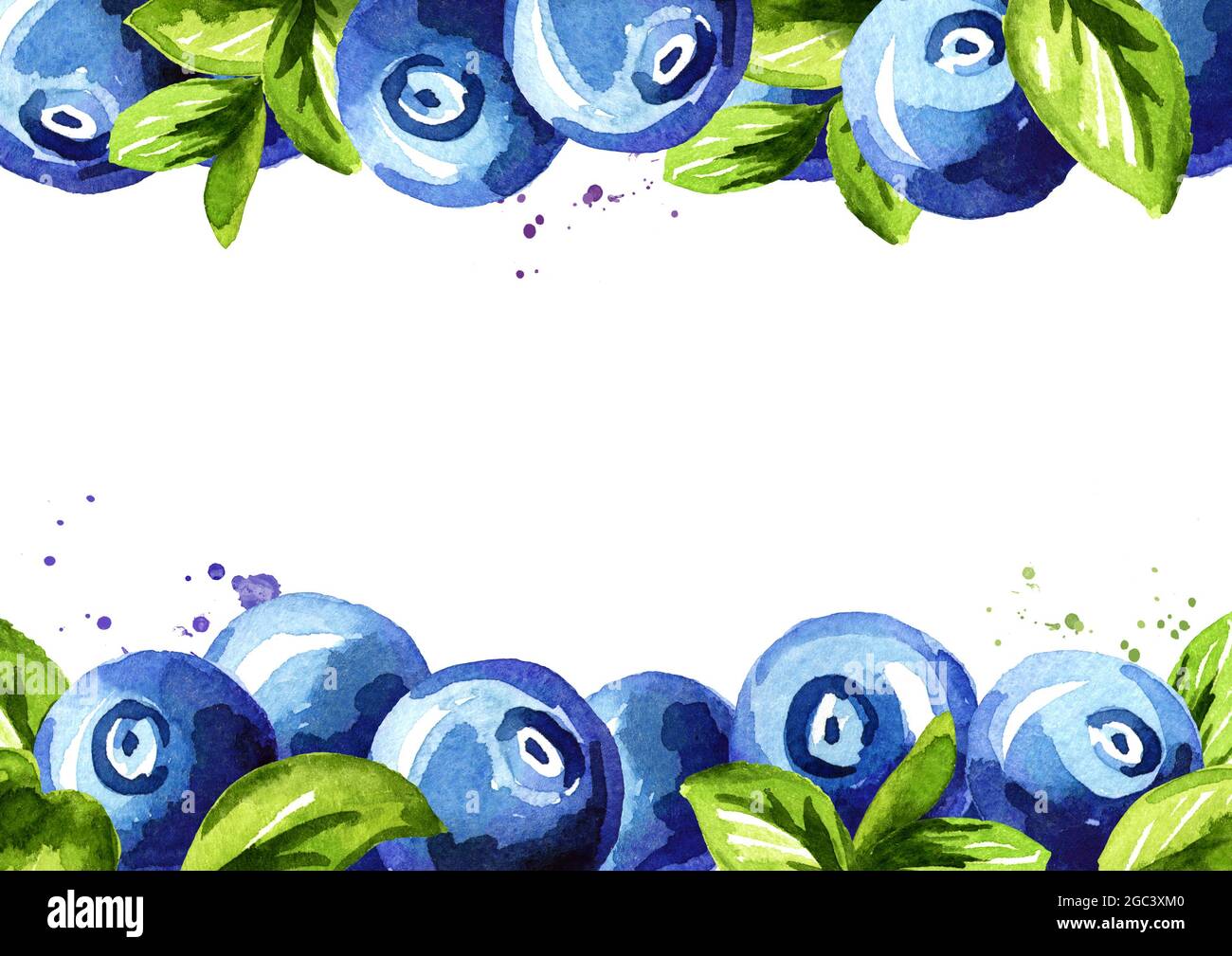 Fresh blueberry horizontal template. Watercolor hand drawn illustration ...