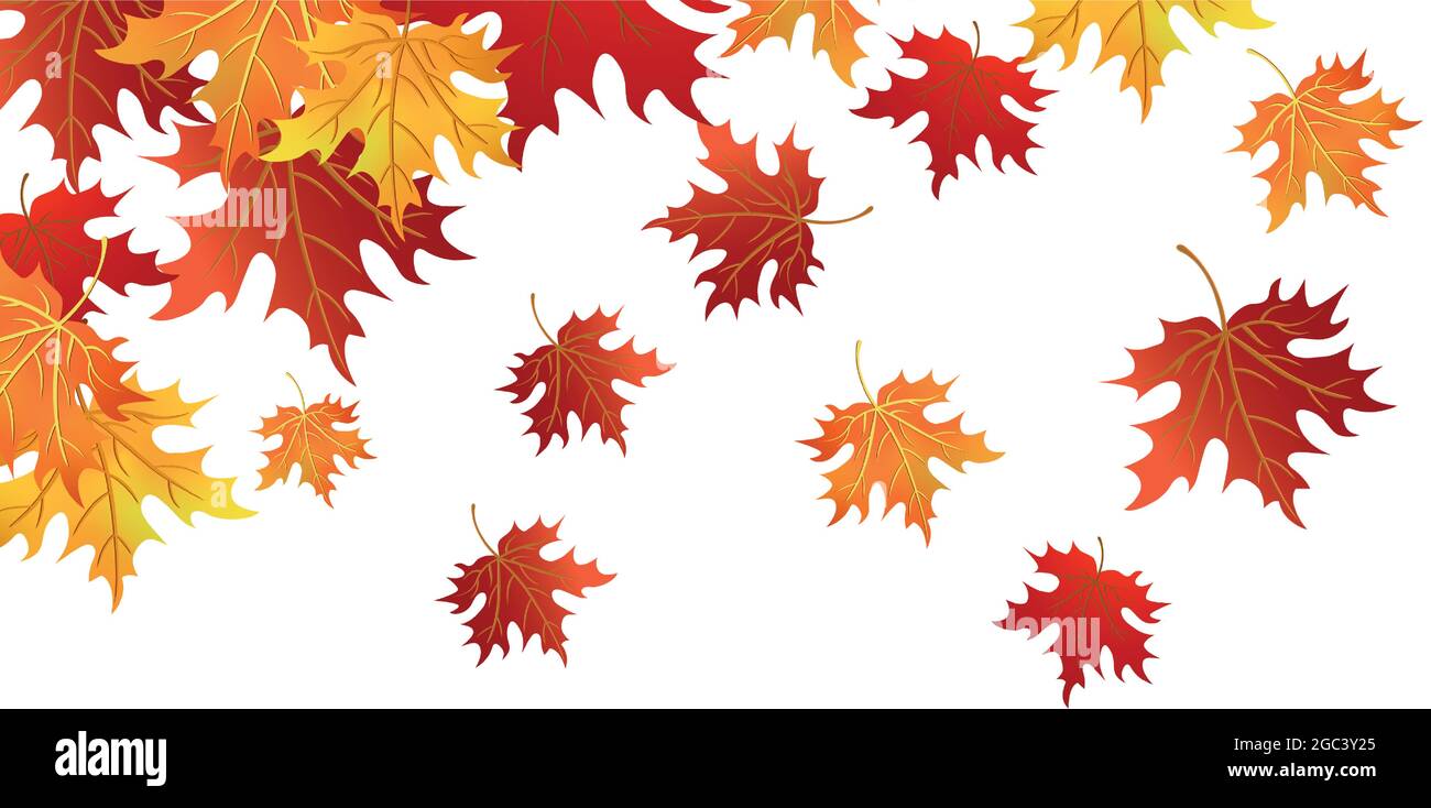Realistic autumn leaves on a light background - Vector illustration ...