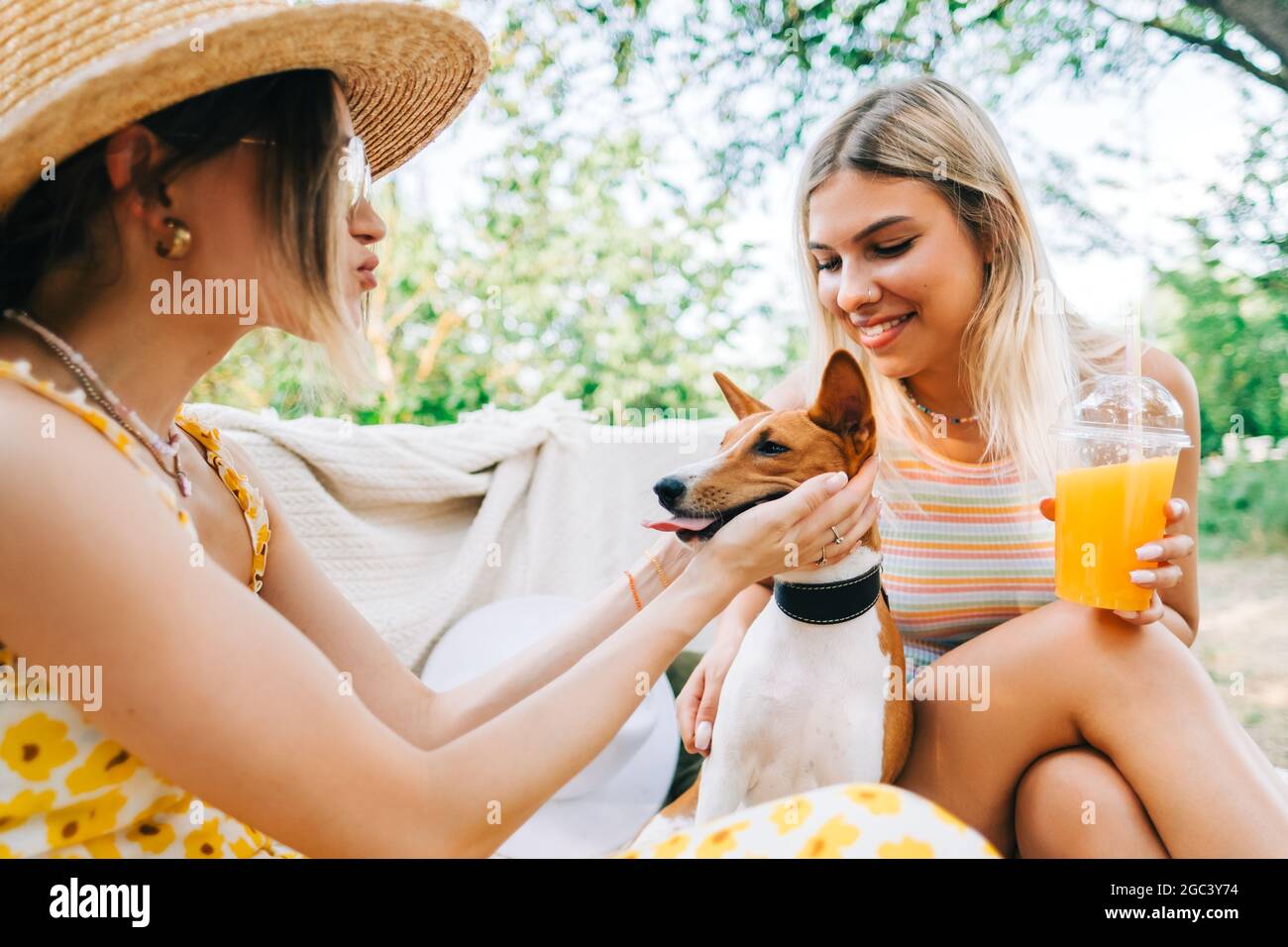 Friends having fun with dog in the backyard and drinking orange ...