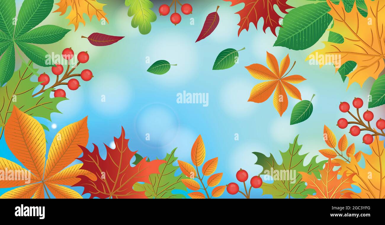 Realistic autumn foliage, background with bokeh - Vector illustration Stock Vector Image & Art ...
