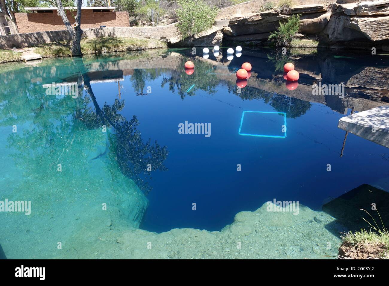 The Blue Hole swimming area in Tucumcari New Meico offers a refreshing ...