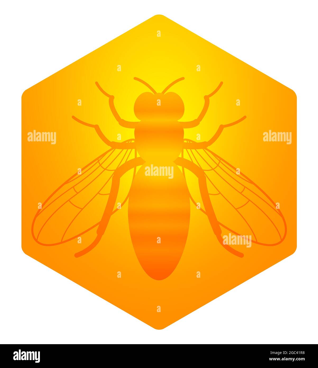 Illustration of the worker bee on hexagon honeycomb Stock Vector Image ...