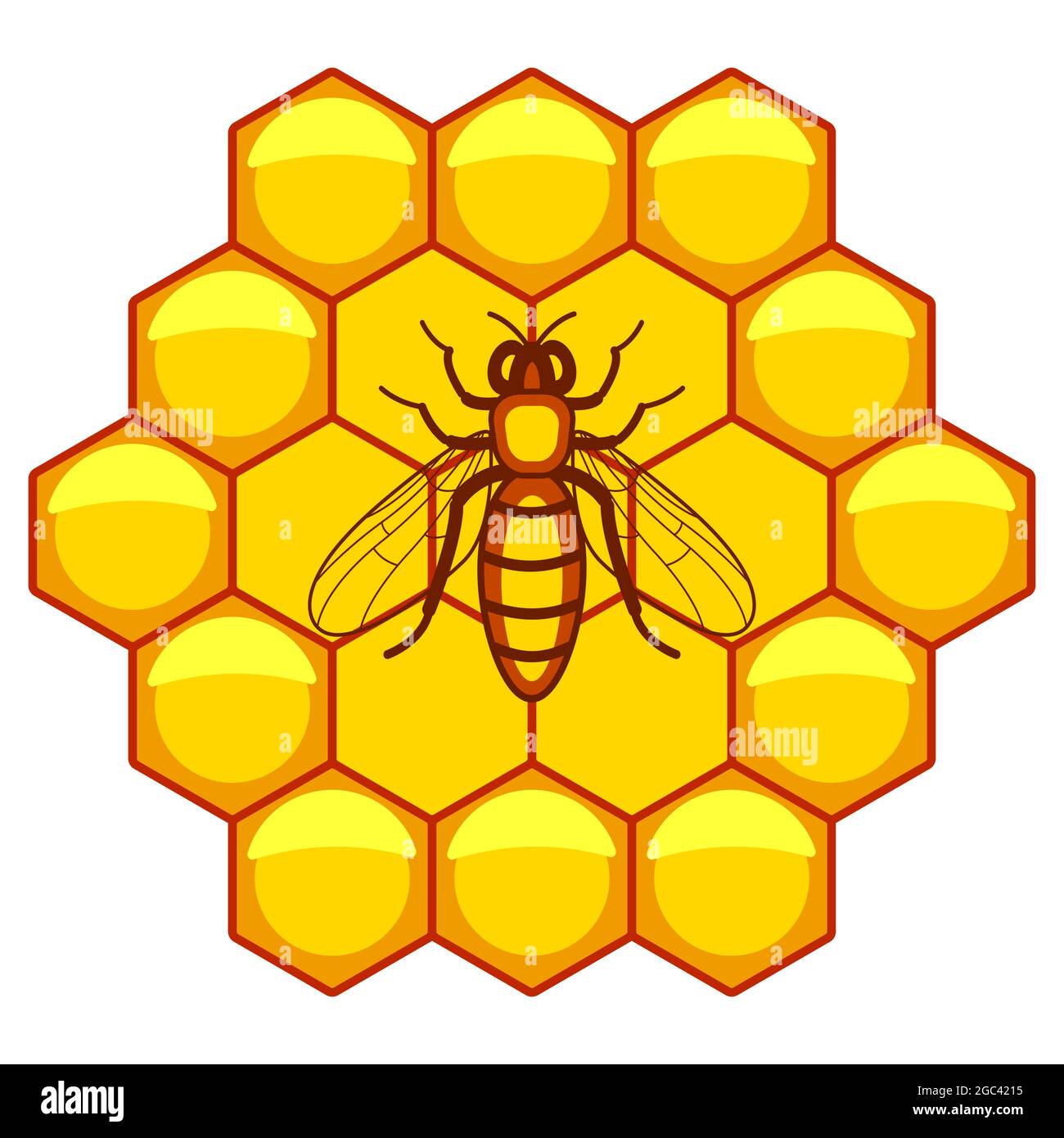 Illustration of the worker bee and honeycombs pattern Stock Vector ...