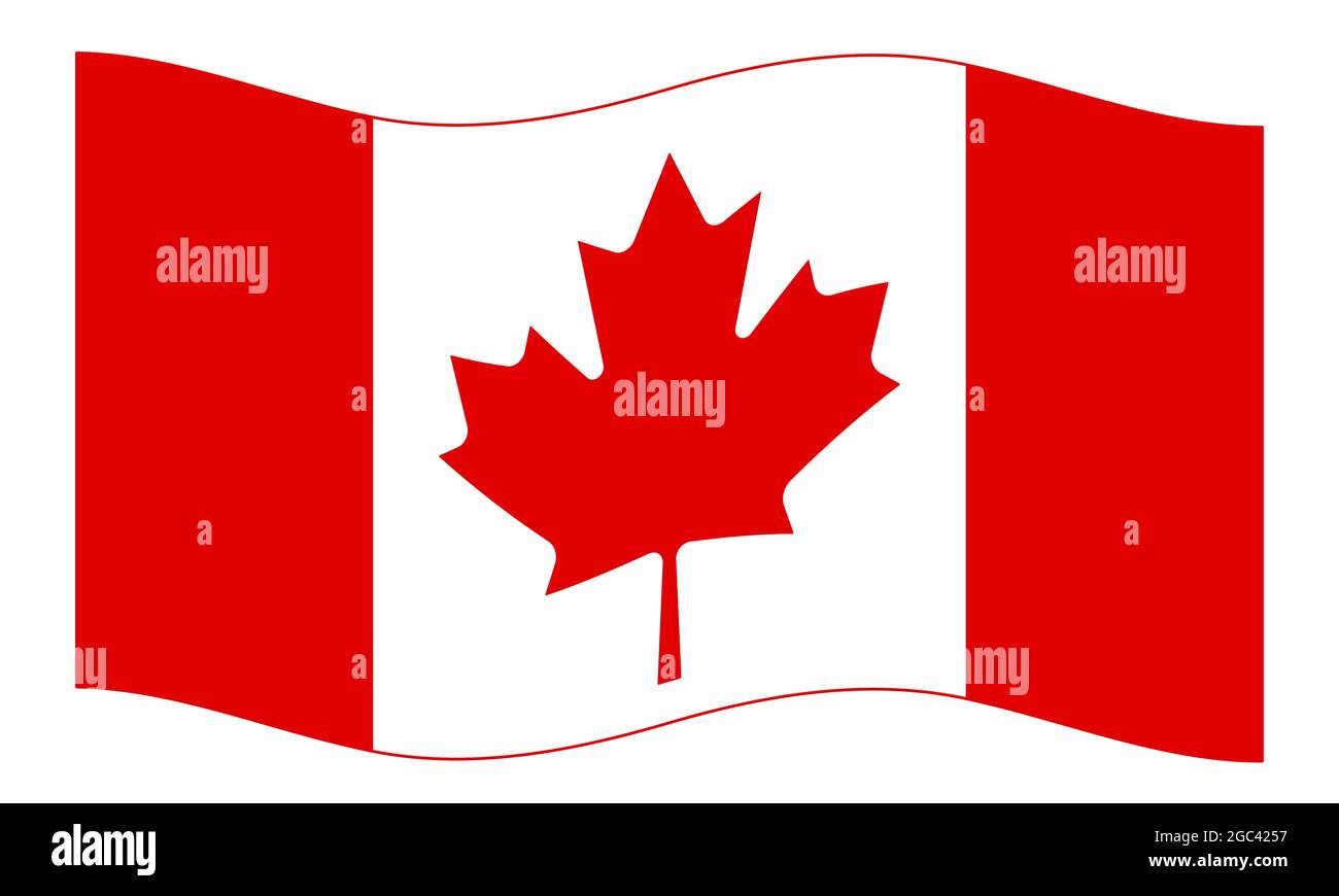 Illustration of canadian waving flag Stock Vector Image & Art - Alamy