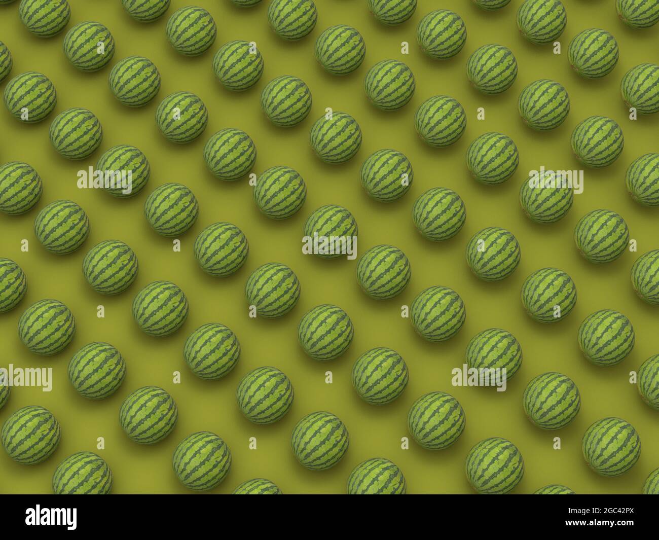 Rows of watermelons on a green background - texture background Stock ...