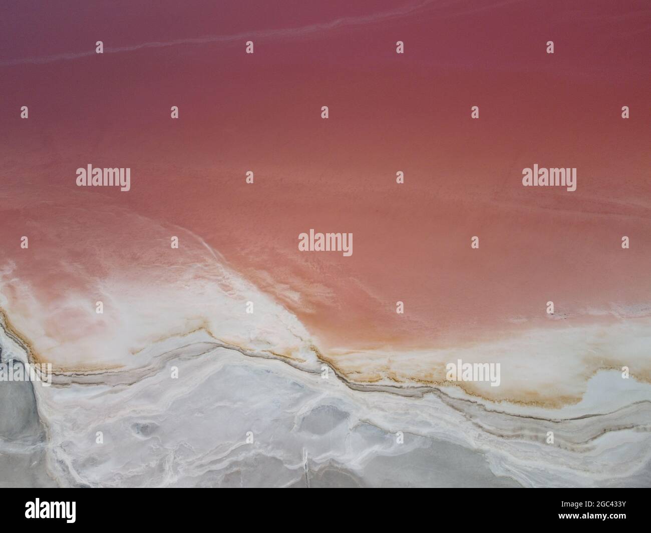 Dechloromonas hi-res stock photography and images - Alamy