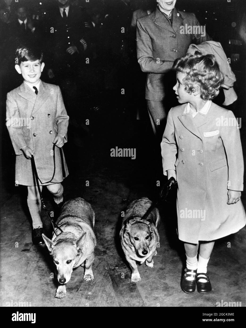 Queen princess anne balmoral dogs hi-res stock photography and images ...