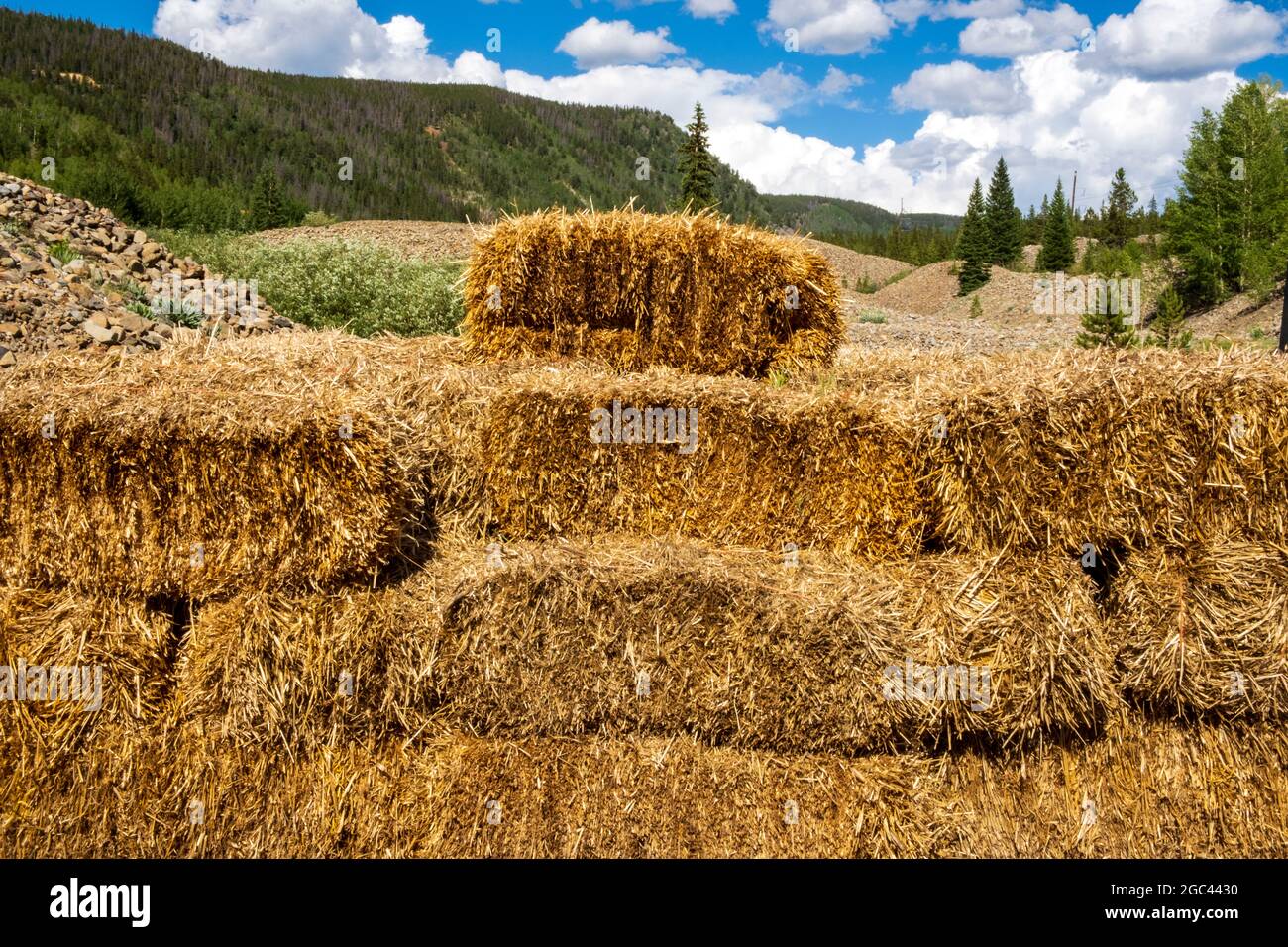 Haystacks on farm, Colorado, USA Stock Photo - Alamy