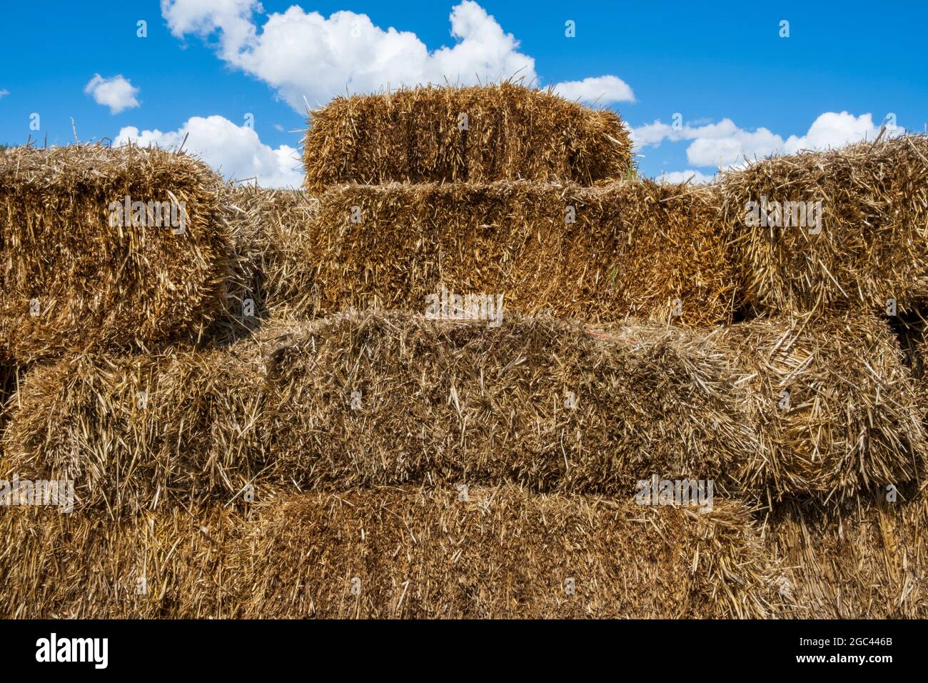Yellow haystacks hi-res stock photography and images - Alamy