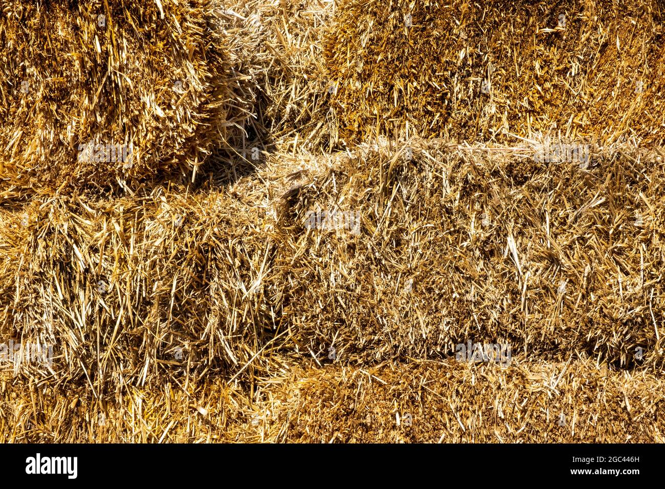 Haystacks on farm, Colorado, USA Stock Photo - Alamy